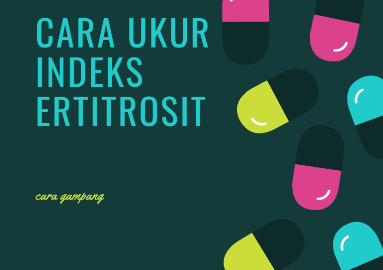 Cara Gampang Mengukur Indeks Eritrosit - Info Menarik
